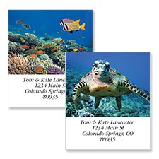 Wildlife Address Labels & Animal Address Labels | Colorful Images
